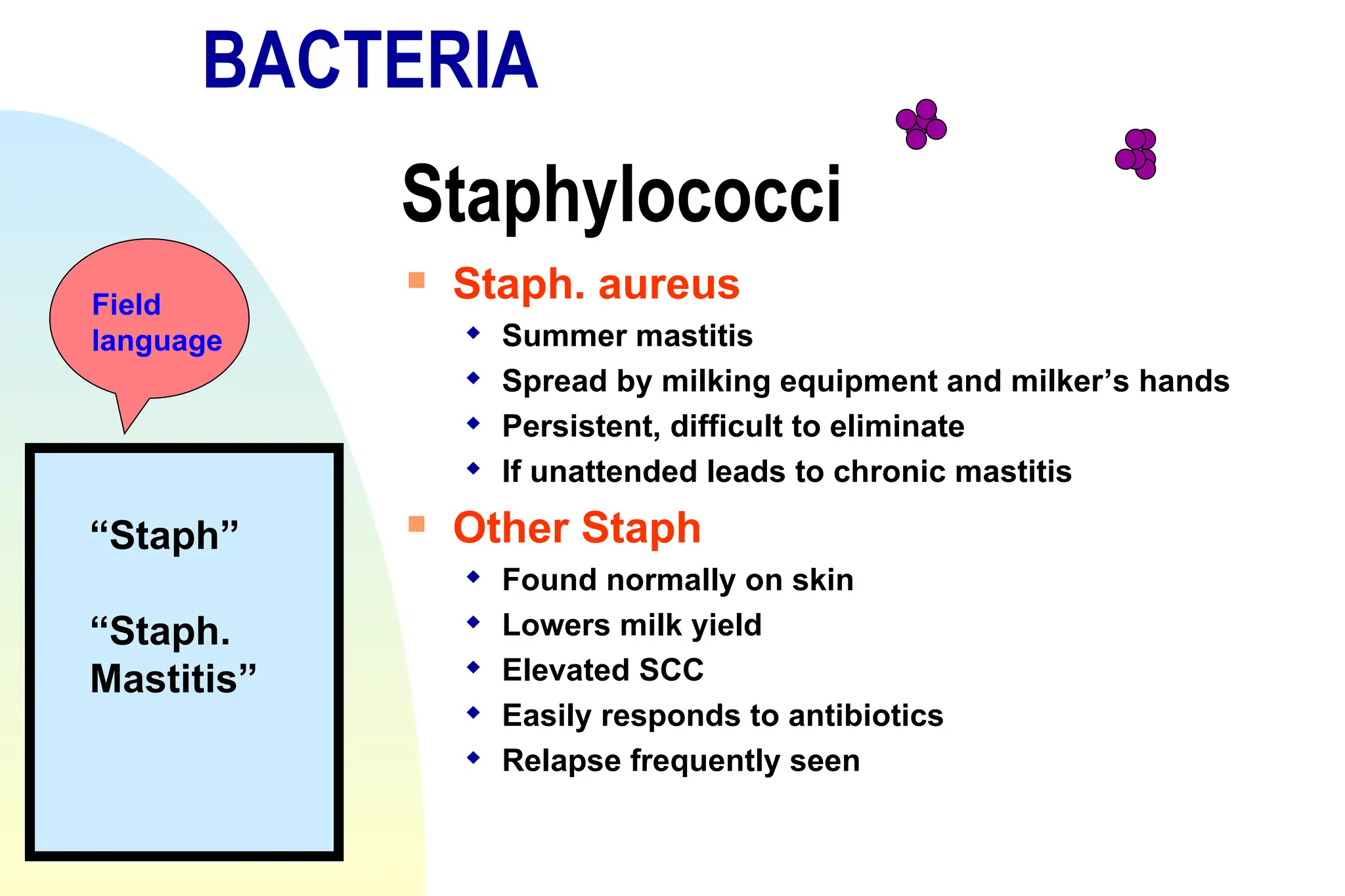 Basics of Bovine Mastitis- Characteristics, Diagnosis and Control | PPT