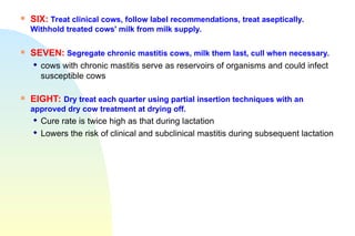 Basics of Bovine Mastitis- Characteristics, Diagnosis and Control | PPT