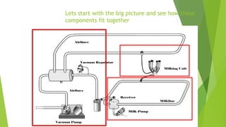 Bovine mastitis due to Milking machine | PPT