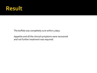 Bovine microfilareasis | PPTX