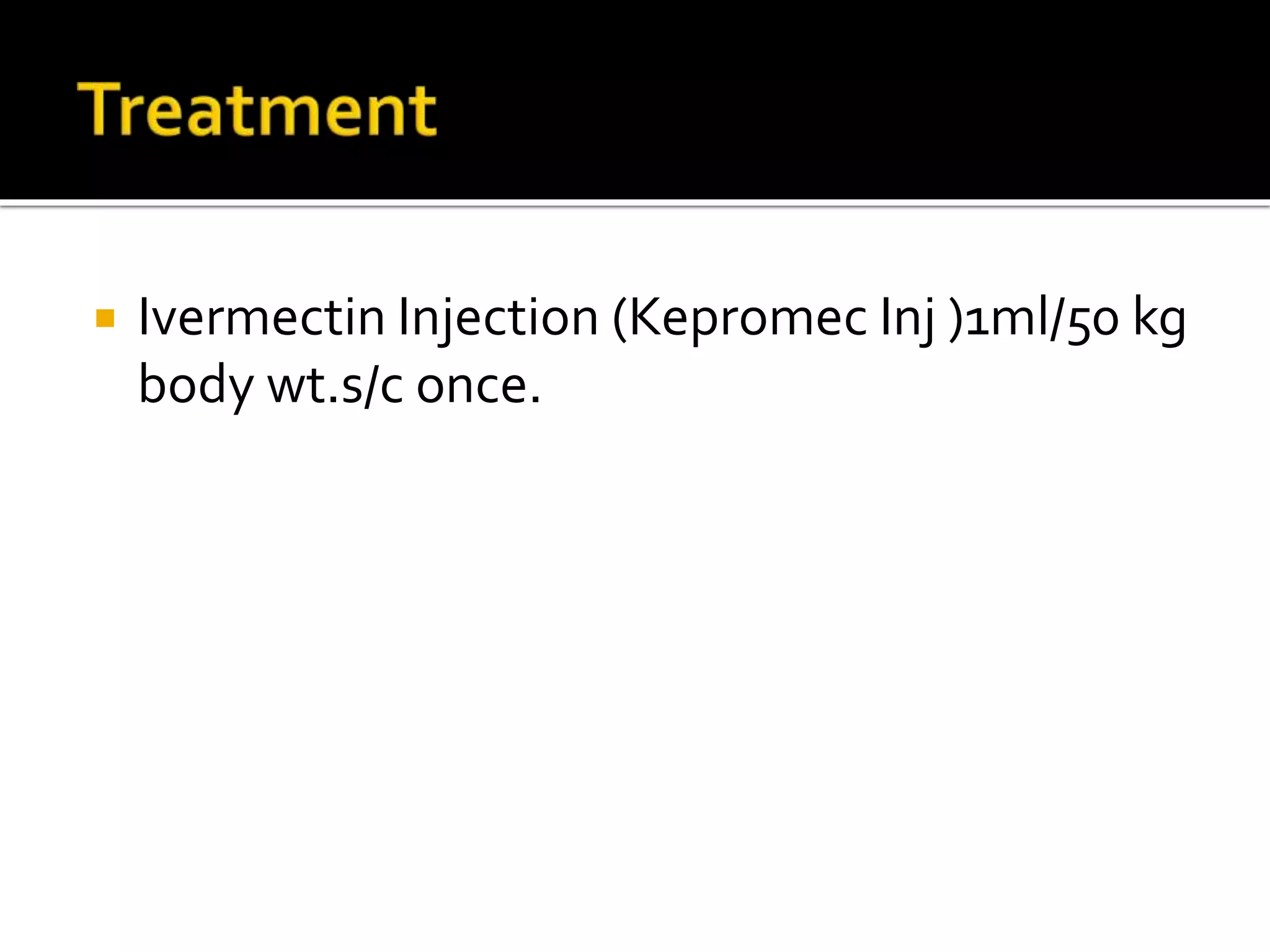 Bovine microfilareasis | PPTX