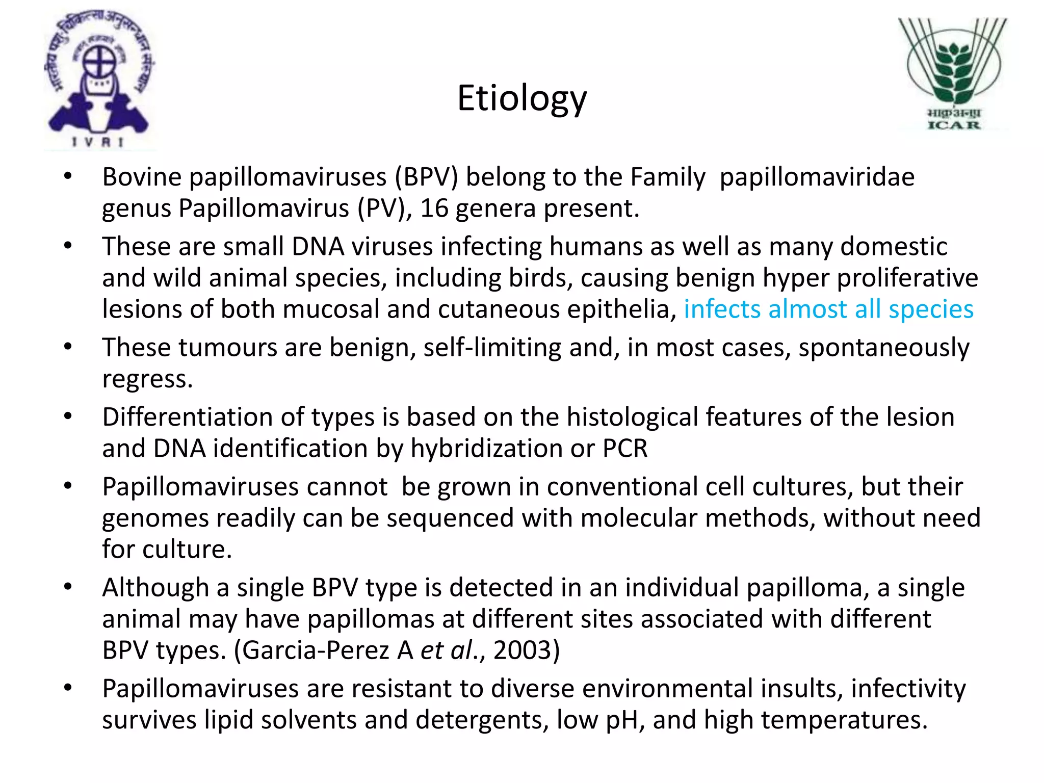 Bovine papillomatosis1 | PPTX