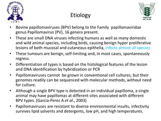 Bovine papillomatosis1 | PPTX