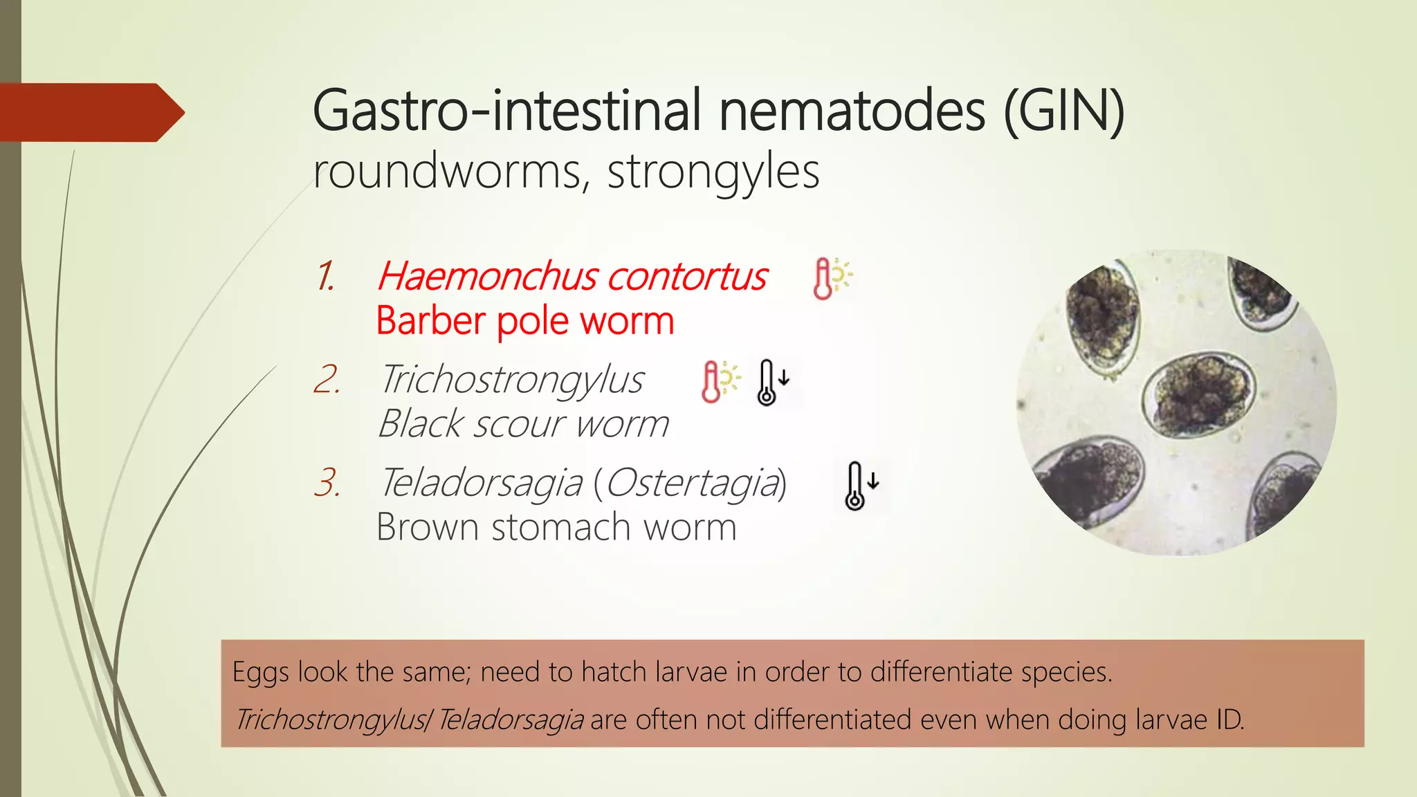 Current recommendations for internal parasite control in small ruminants | PPTX