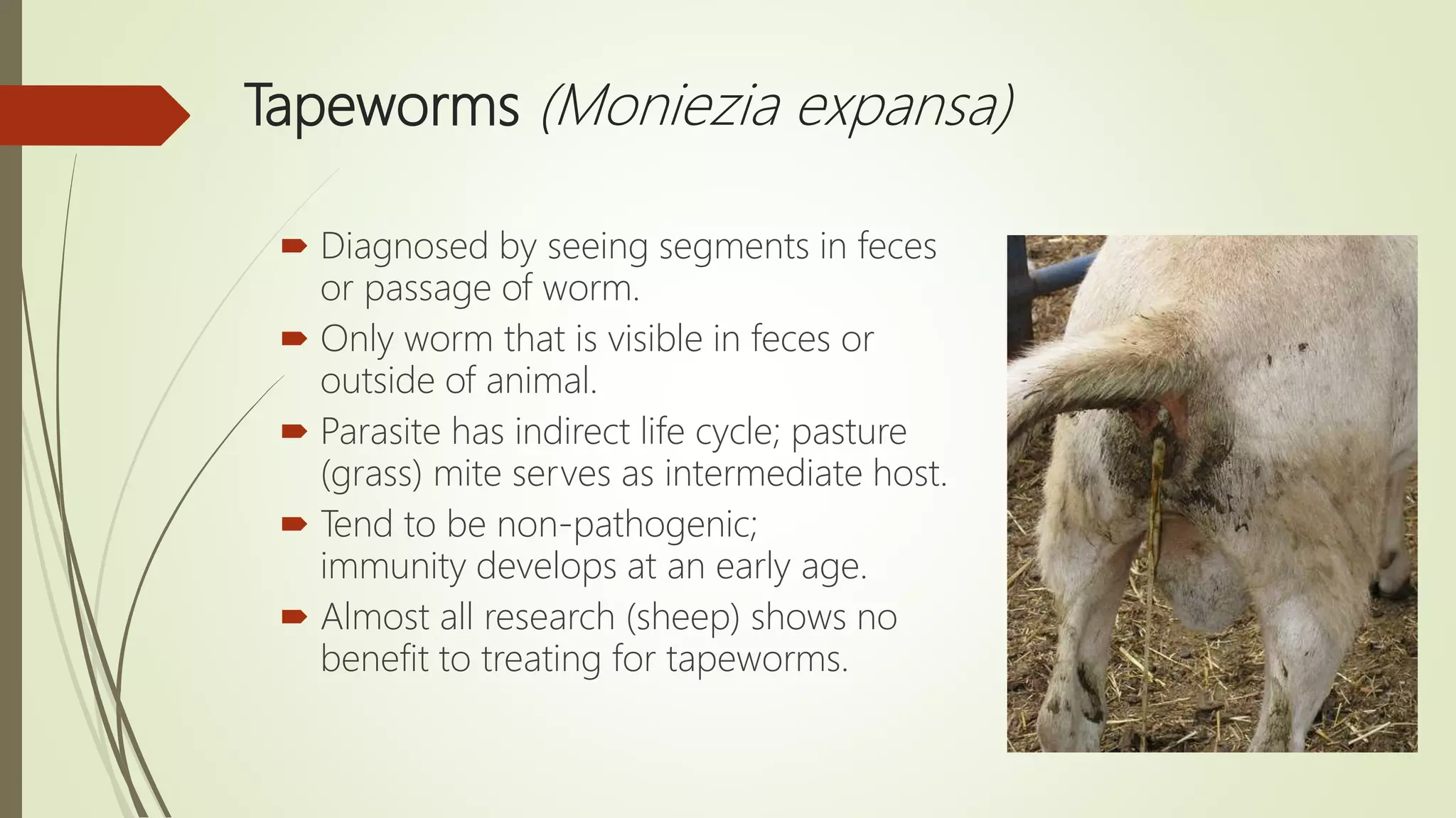 Current recommendations for internal parasite control in small ...