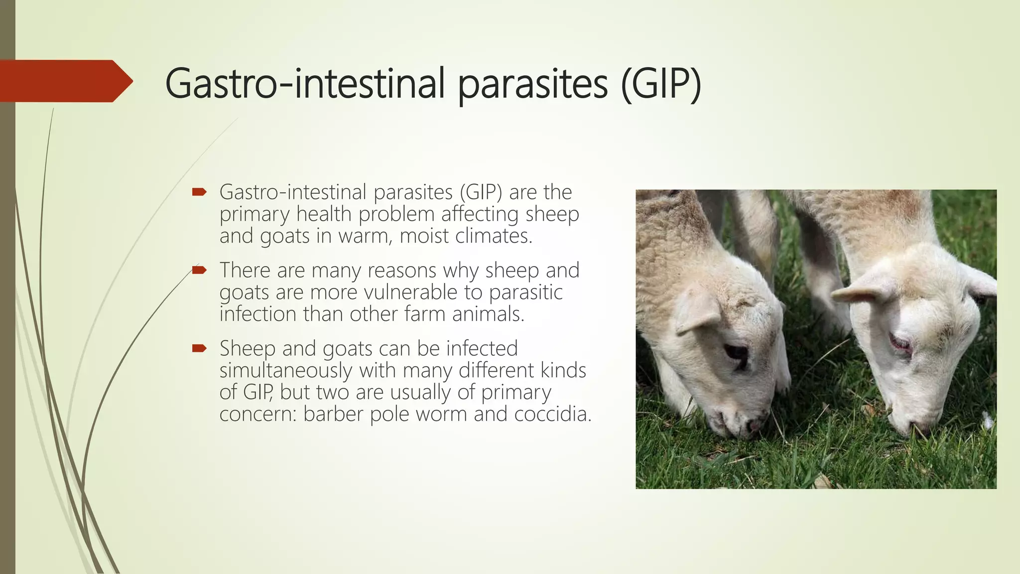 Current recommendations for internal parasite control in small ruminants | PPTX