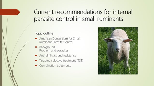 Current recommendations for internal parasite control in small ...