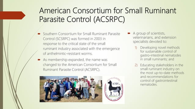 Current recommendations for internal parasite control in small ruminants | PPT