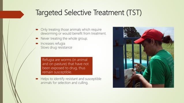 Current recommendations for internal parasite control in small ruminants | PPT