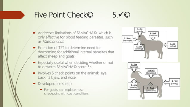 Current recommendations for internal parasite control in small ruminants | PPT