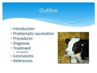 Bovine respiratory syncytial virus (brsv) | PPTX