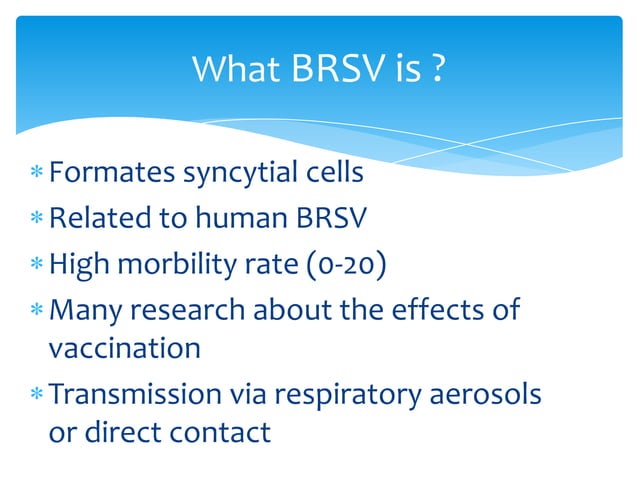 Bovine respiratory syncytial virus (brsv) | PPTX | Lung and Respiratory ...