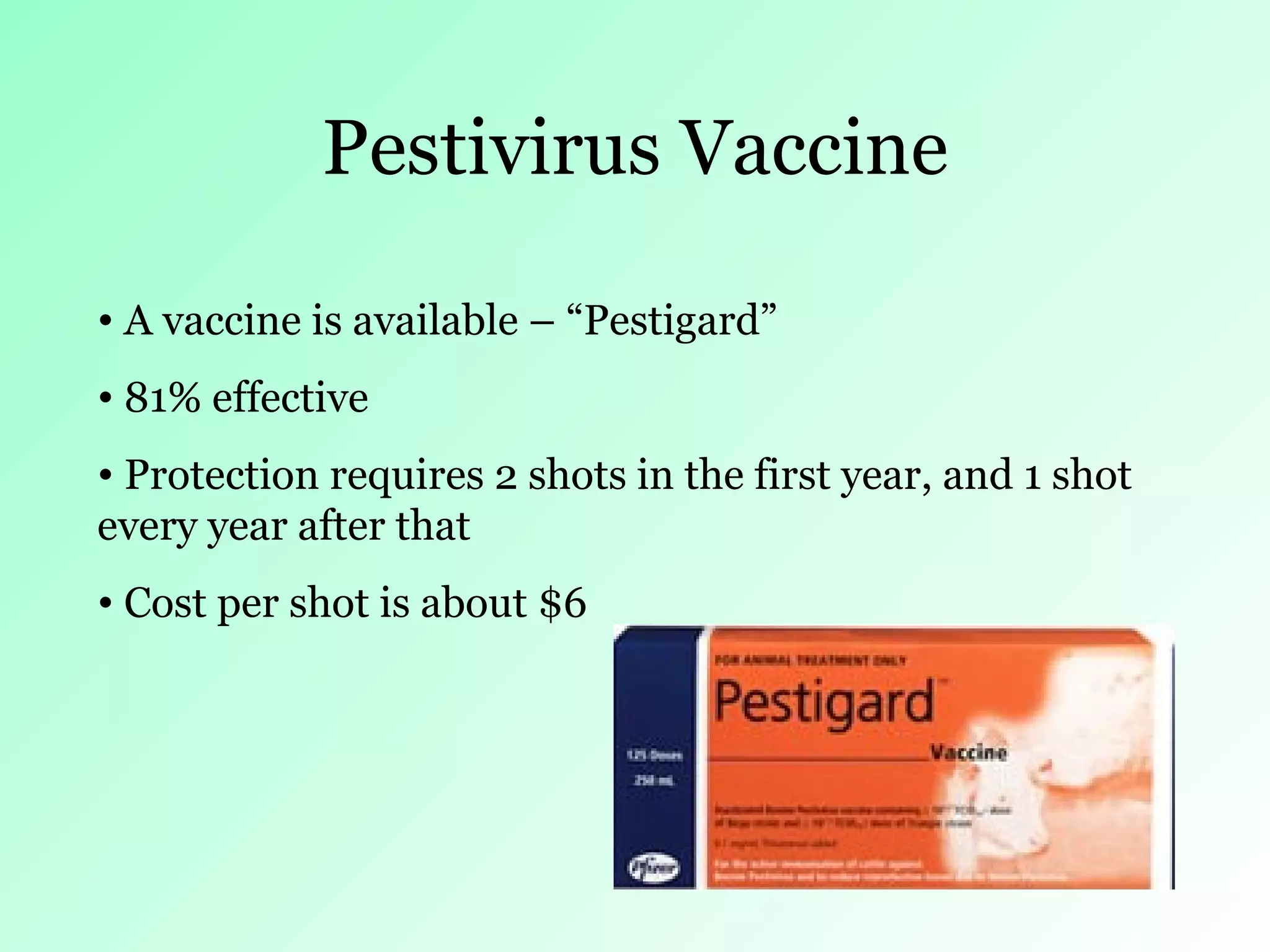 Bovine Viral Diarrhoea Virus | PPT