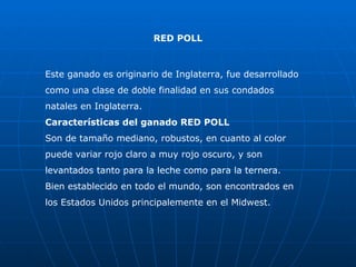 Bovinos Razas | PPT