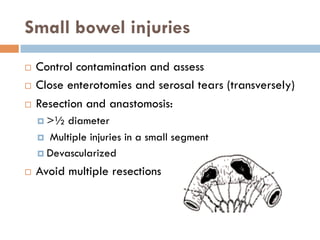 Bowel injury 2013 | PDF