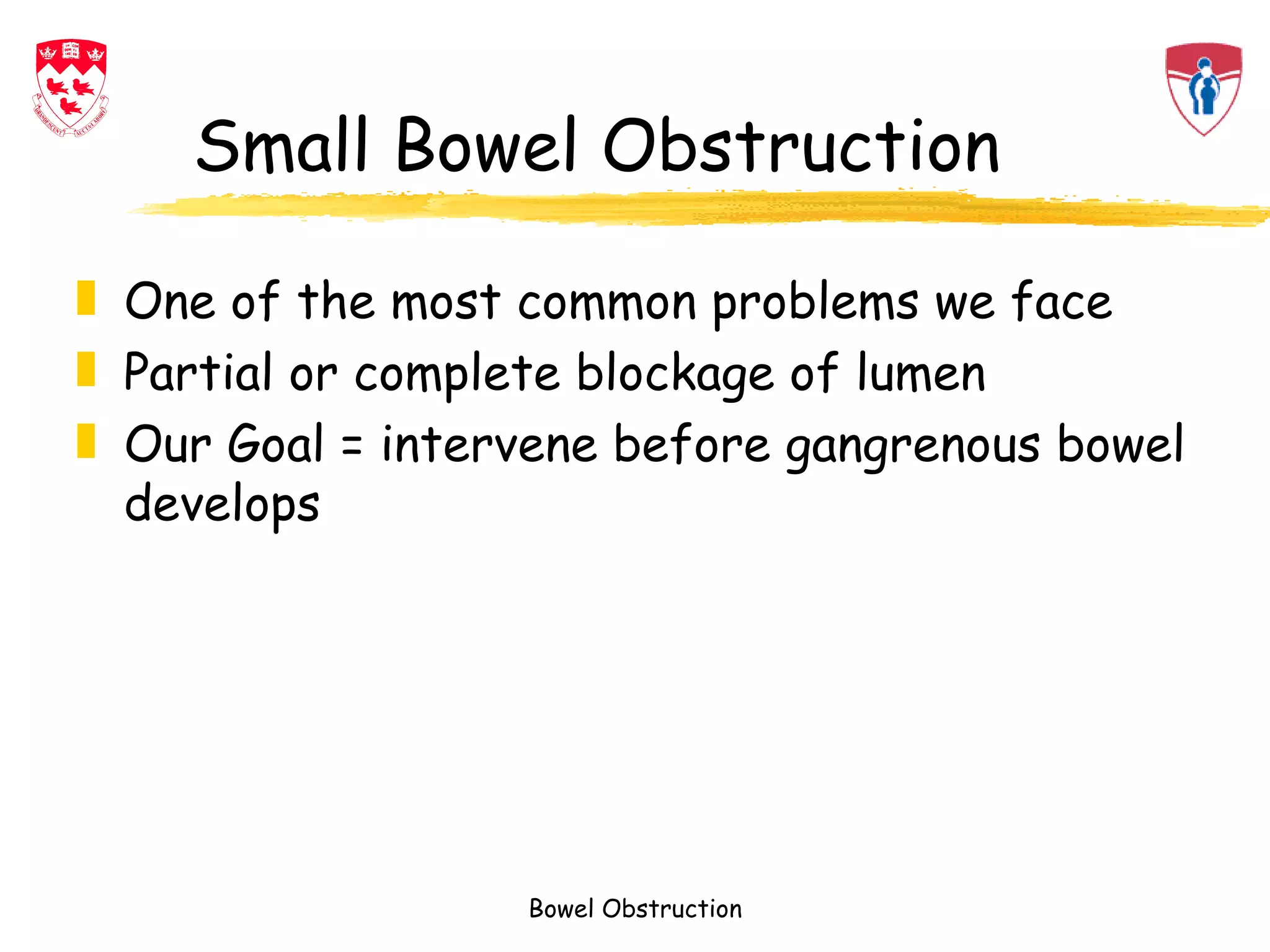 Bowel Obstruction | PPT