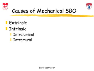 Bowel Obstruction | PPT