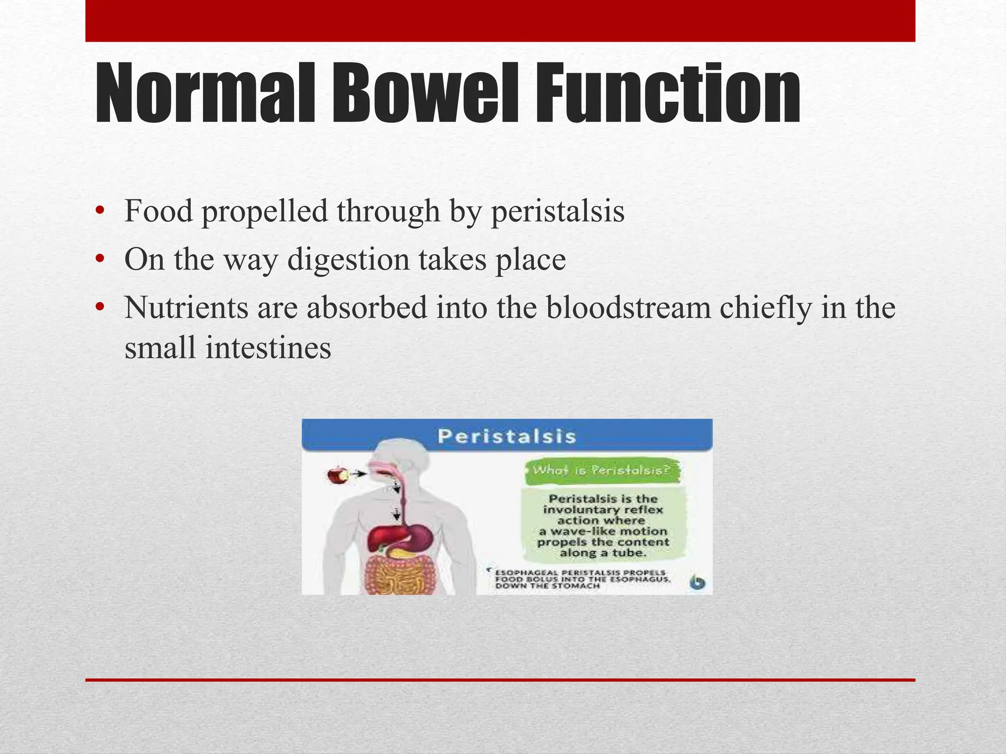 Bowel and ball and Anorectal Dysfunction.pptx