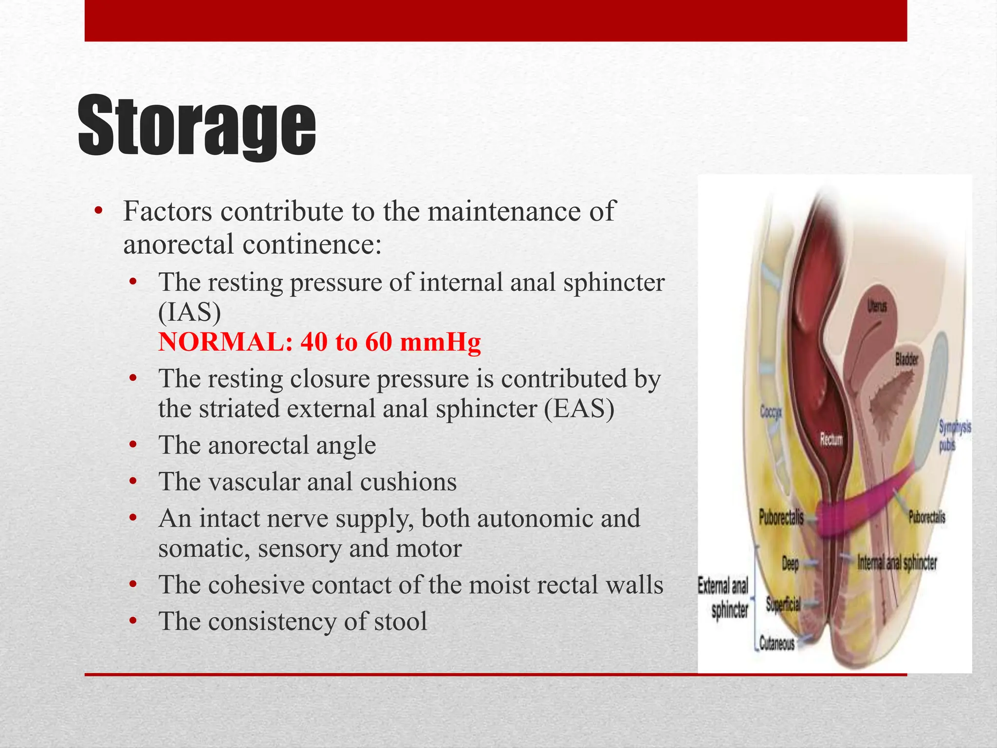 Bowel and ball and Anorectal Dysfunction.pptx