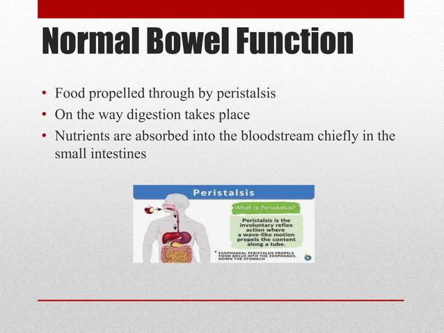 Bowel and ball and Anorectal Dysfunction.pptx | Digestive Disorders ...