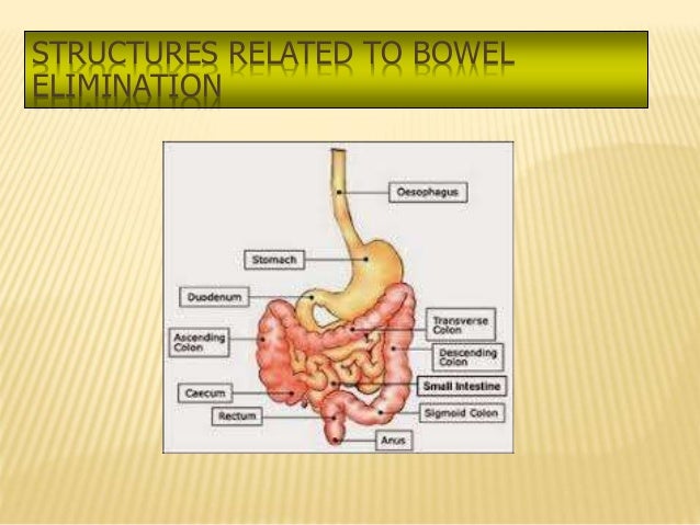 Bowel elimination