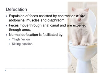 BOWEL ELIMINATION INTRODUCTION | PPTX