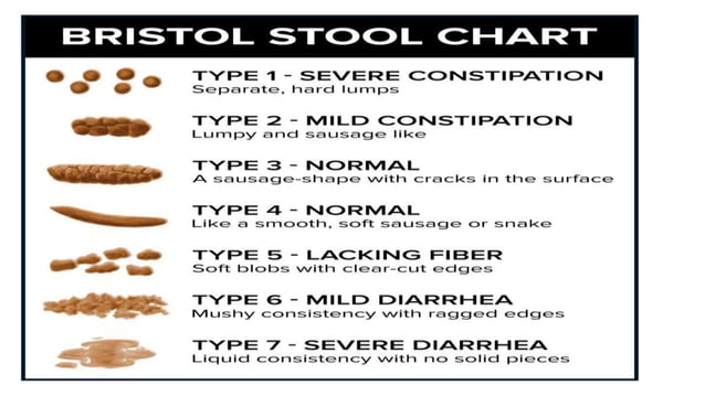 BOWEL Elimination .pptx