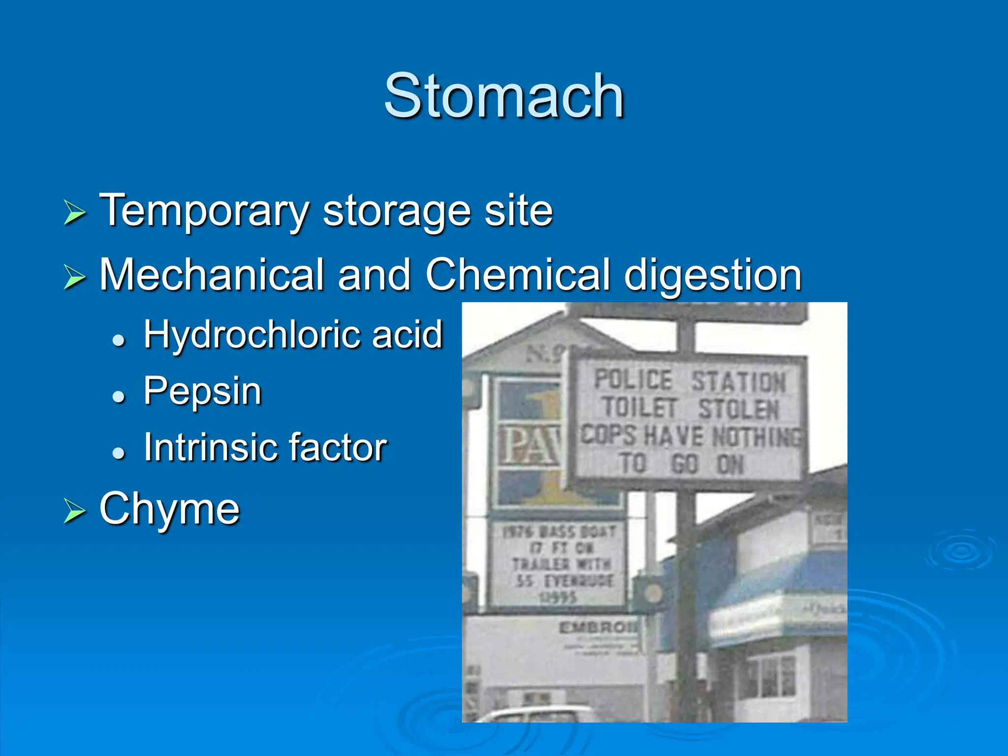 Bowel_Elimination.ppt for bsc and gnm nursing students | PPT