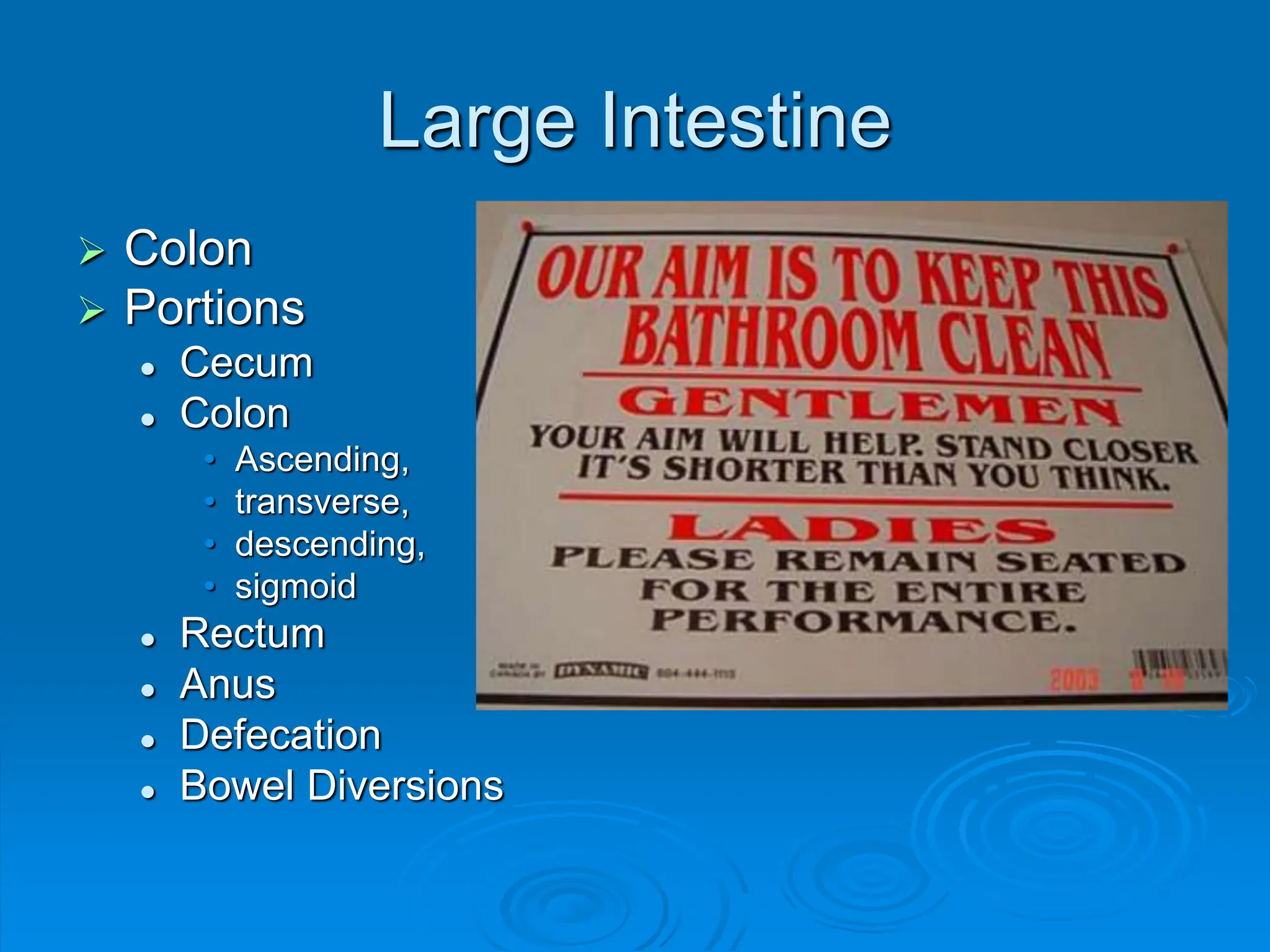 Bowel_Elimination.ppt for bsc and gnm nursing students | PPT