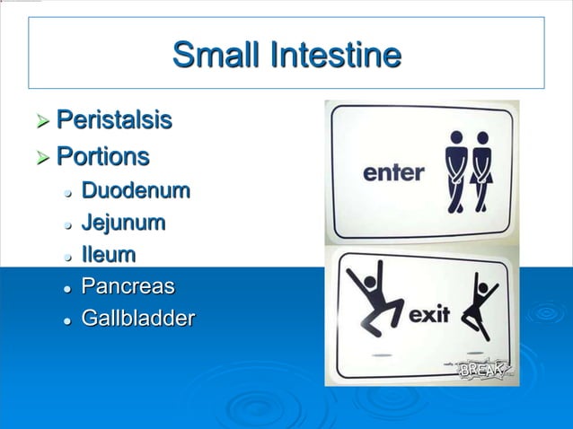 Bowel_Elimination.ppt for bsc and gnm nursing students | PPT