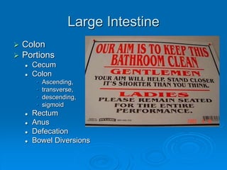 Bowel_Elimination.ppt for bsc and gnm nursing students | PPT