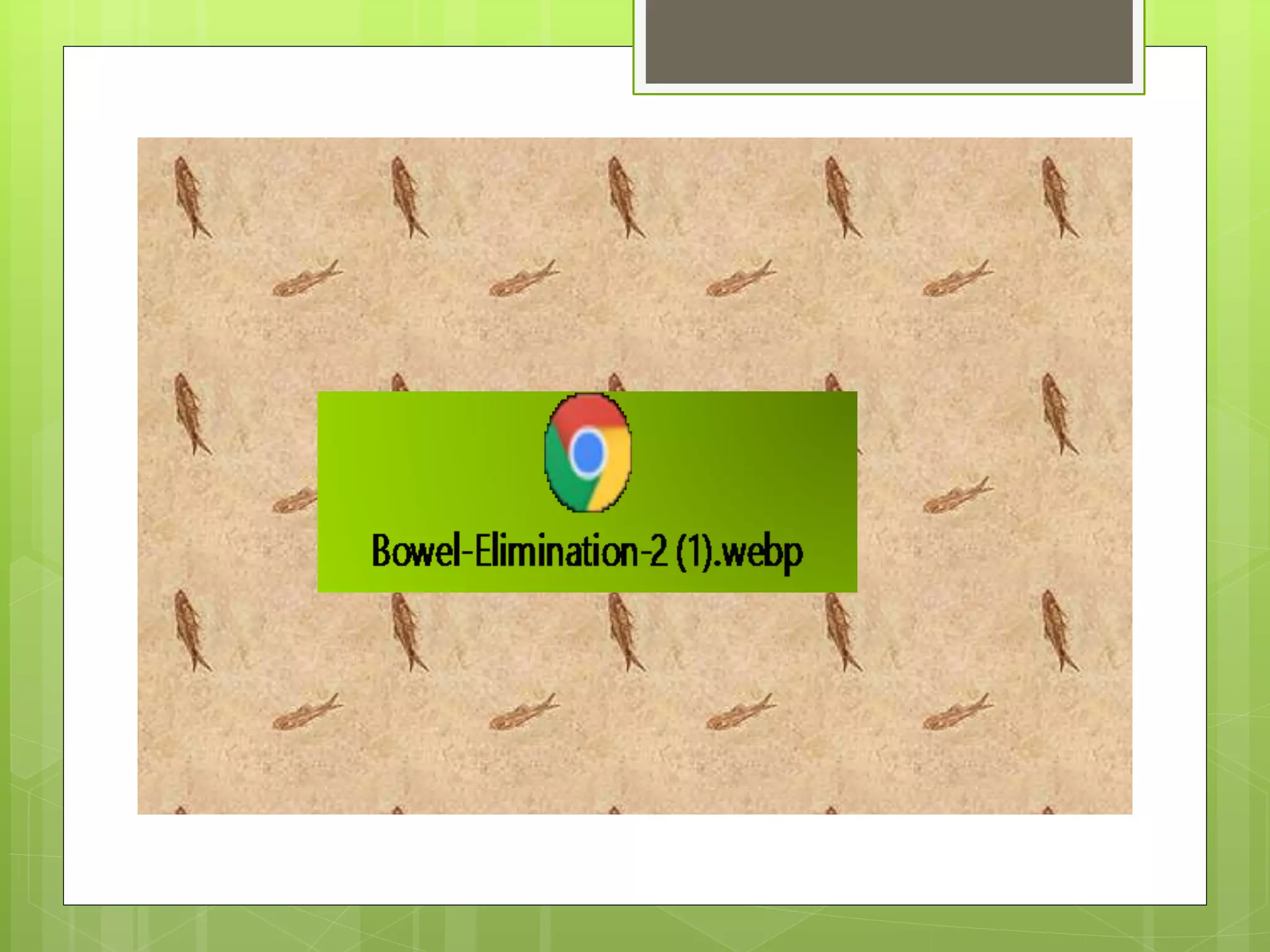 Bowel elimination | PPTX