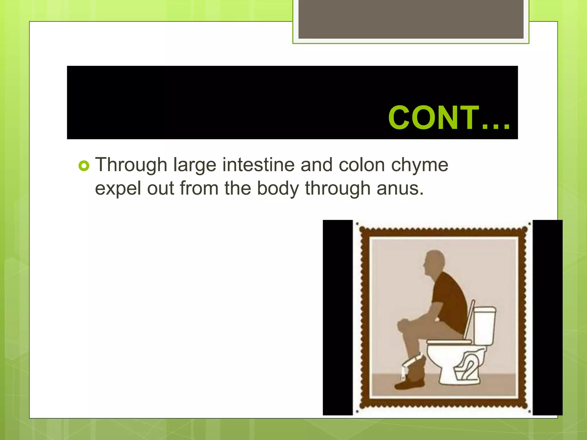 Bowel elimination | PPTX
