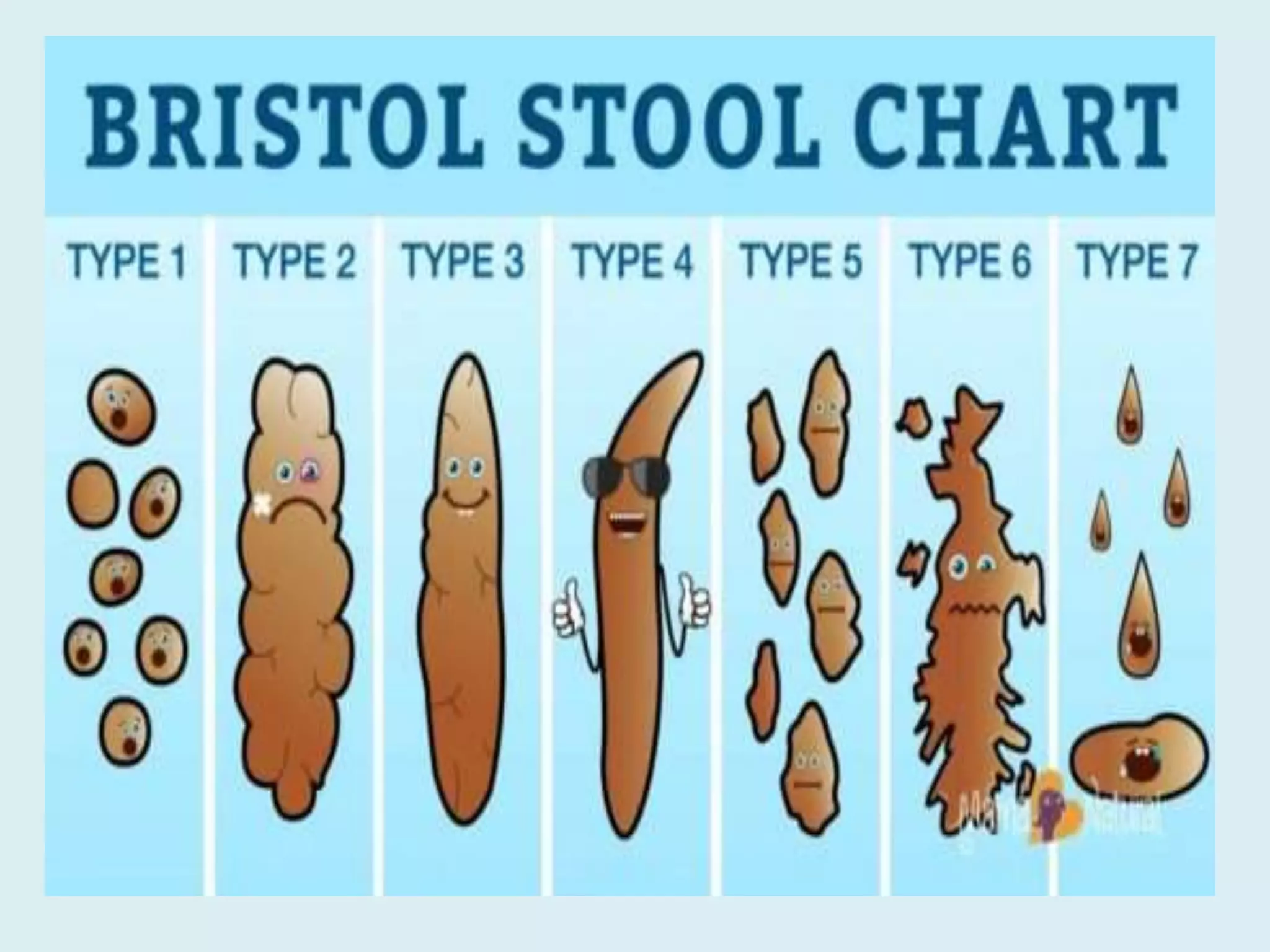 Bowel elimination ppt | PPTX