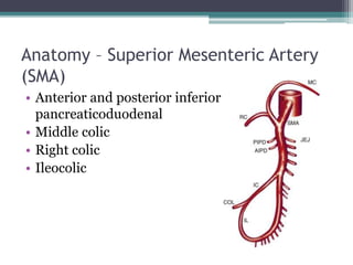 bowel ischemia.pptx