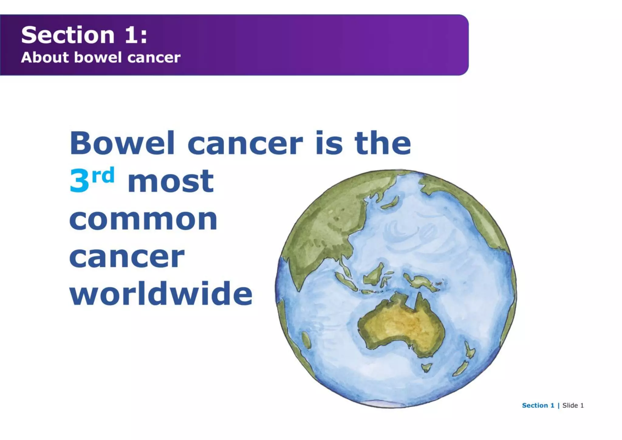 Bowel screening flipchart - English | PPTX