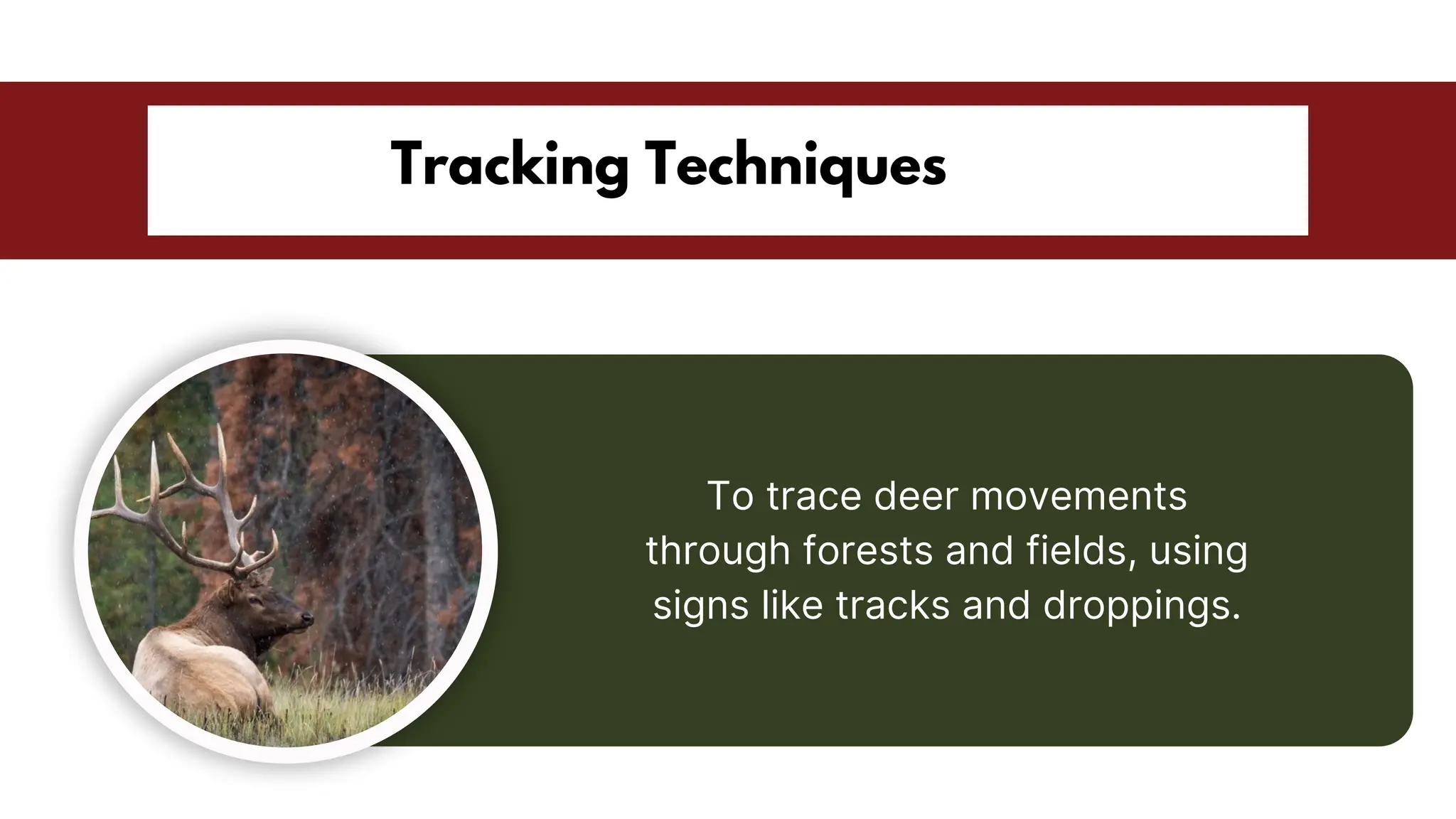 Bowhunting Habitat and Tracking Services | PPT