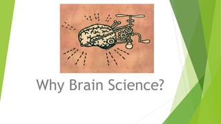Bowman brain science slide presentation | PPTX