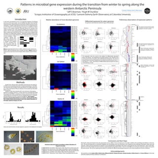 Bowman ducklow grc_pms_2017 | PDF