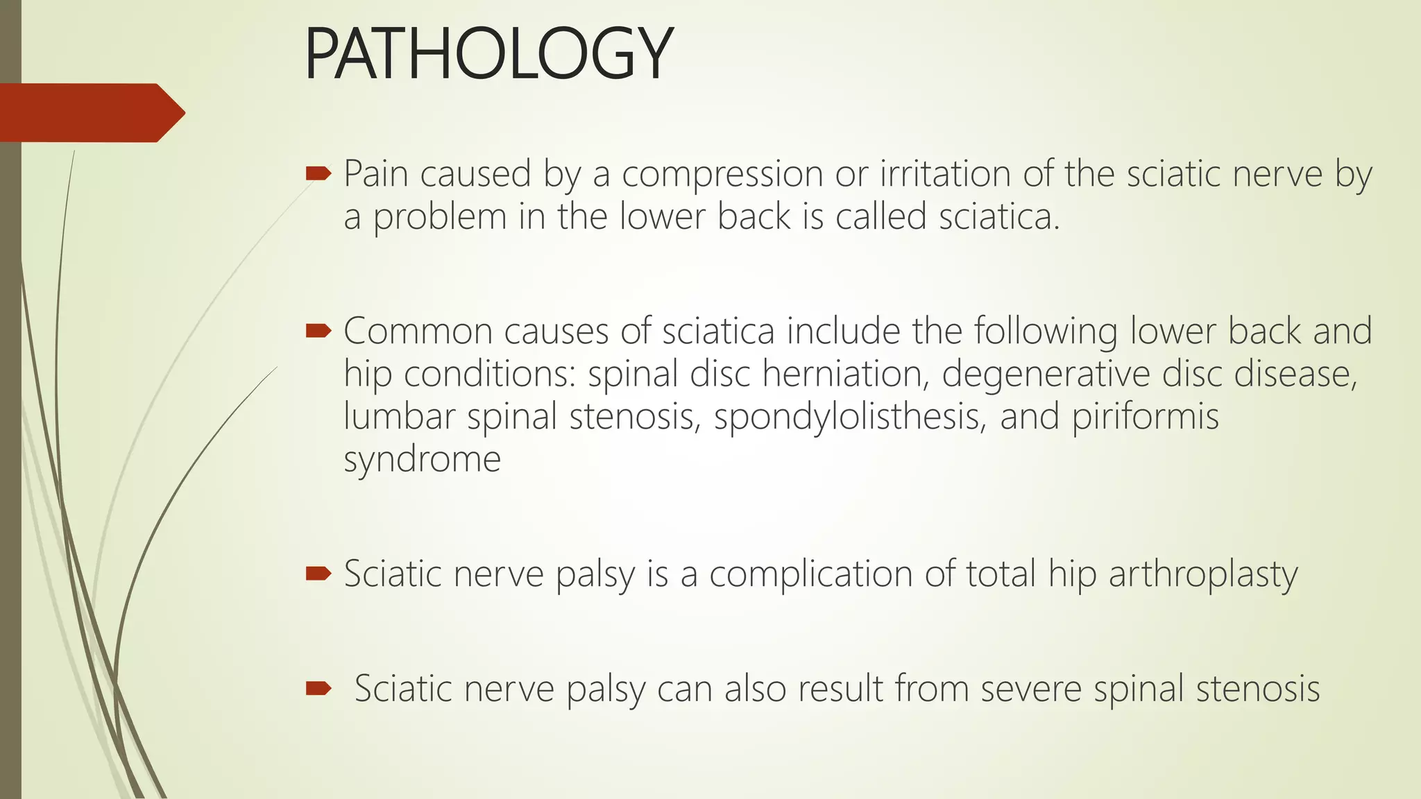 Bowstring test. By Philans Cosmos Ankrah | PPSX
