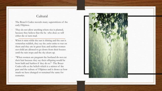 Boxer Codex Summarized Analysis | PPTX