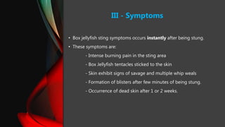 Box fellyfish | PPTX