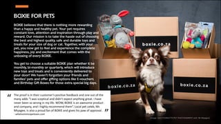 Boxie for Pets | Presentation | PPT