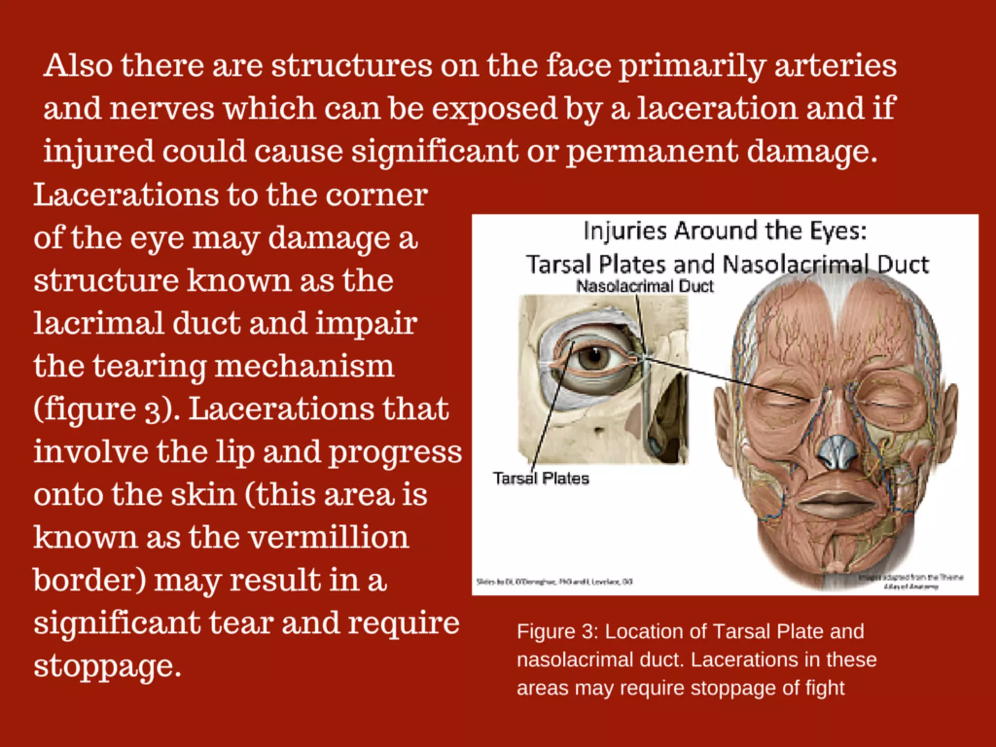 Boxing Injuries: Lacerations | PDF