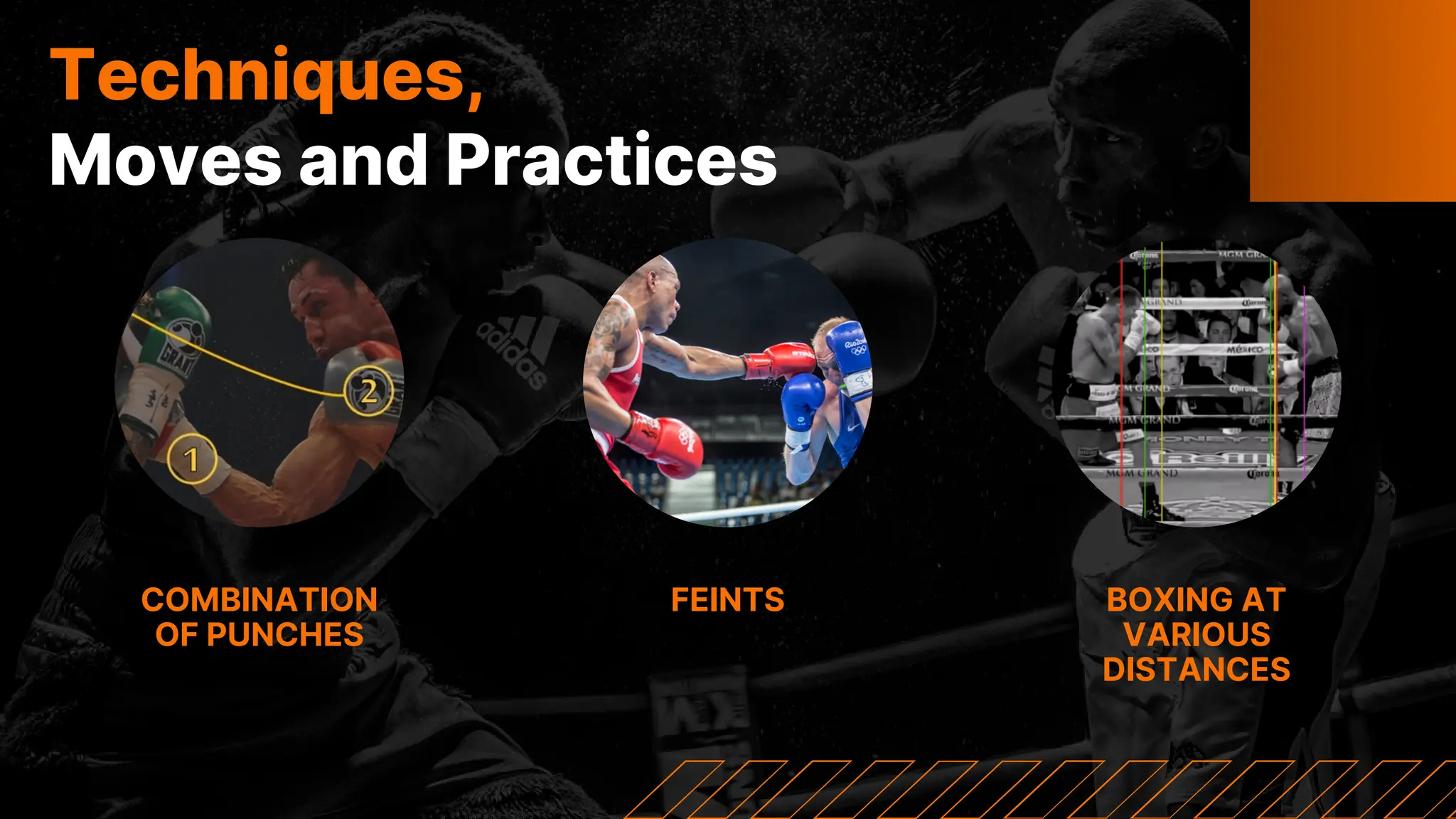 Boxing history, techniques, players& rules | PDF