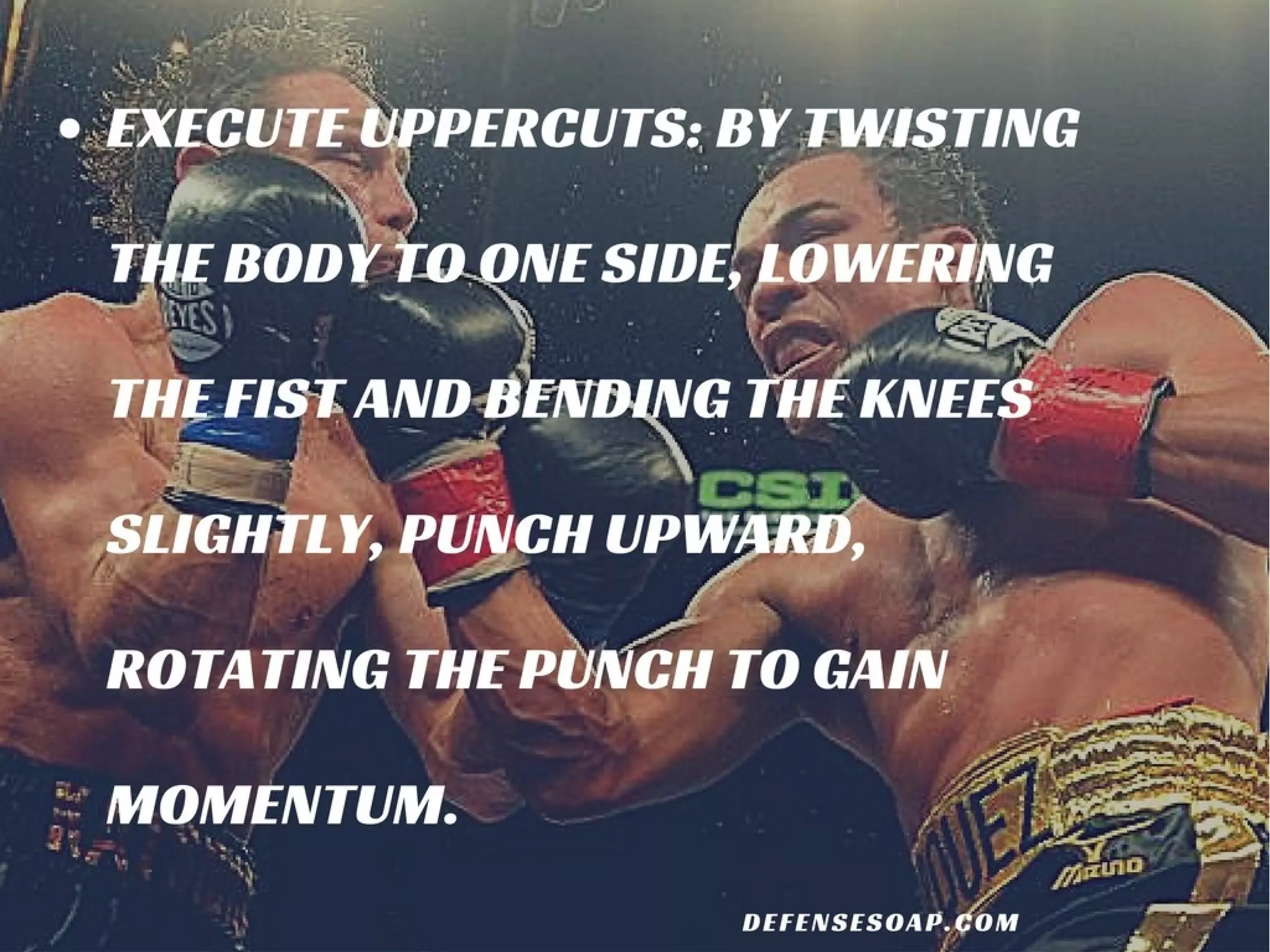 Boxing Single Punch Knockout Techniques | PPT