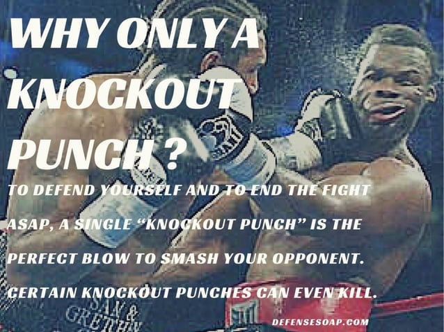 Boxing Single Punch Knockout Techniques | PPT