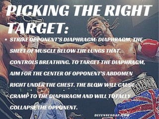 Boxing Single Punch Knockout Techniques | PPT