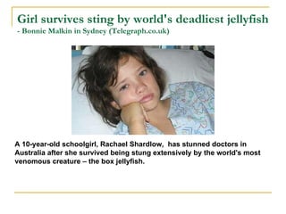 Box jelly fish | PPT