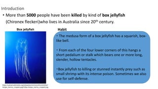 Box jellyfish toxicity | PPT